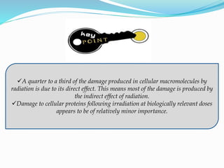 Radiobiology- Basic Guide | PPTX