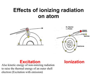 Radiobiology Basics and Radiation principle | PPT