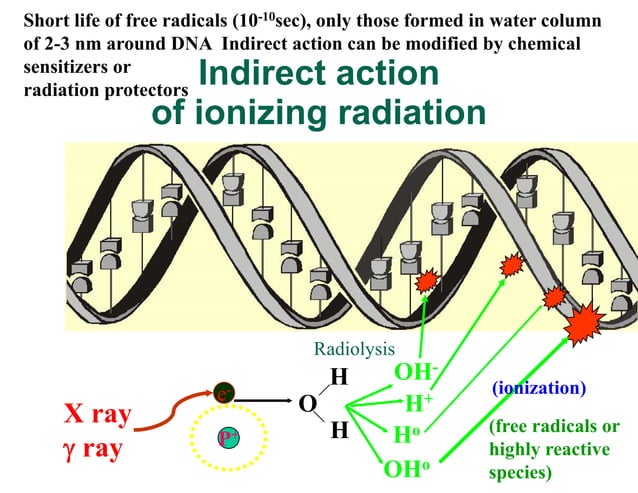 Radiobiology Basics and Radiation principle | PPT