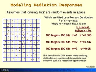 Radiobiology behind dose fractionation | PPT