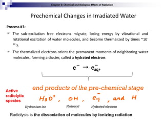 Comprehensive Introduction to Radiobiology and Radiation Protection ...