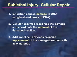 Radiobiology Lec.ppt