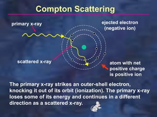 Radiobiology Lec.ppt