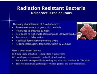 RadioDuran_MunimaHaque_NPRE_UIUC_IL_USA (1).pptx