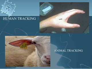 Radio frequency identification | PPT