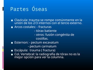 RADIOGRAFÍA NORMAL DE TÓRAX -- UNAN.pptx