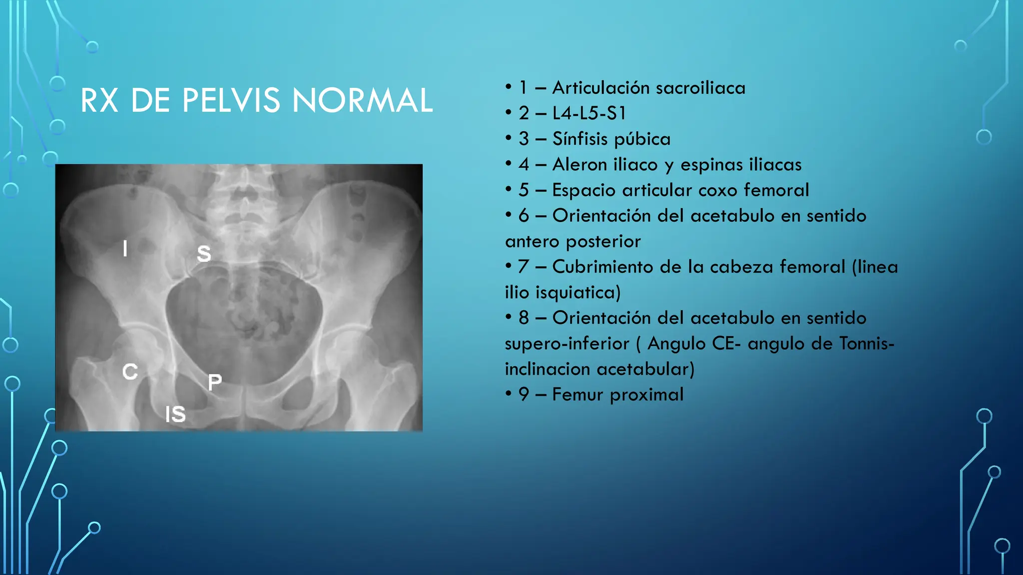 Radiografias de la cadera y la pelvis.pptx