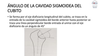 Presentación de Radiografia de Hombro y Codo.pptx