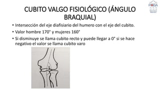 Presentación de Radiografia de Hombro y Codo.pptx