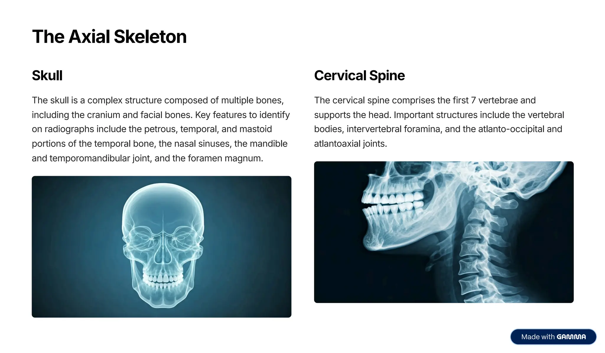 Radiographic-Anatomy-of-the-Skeletal-System.pdf