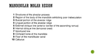 Radiographic-Anatomy-Periapical-Occlusal-Radiograph (1).pdf