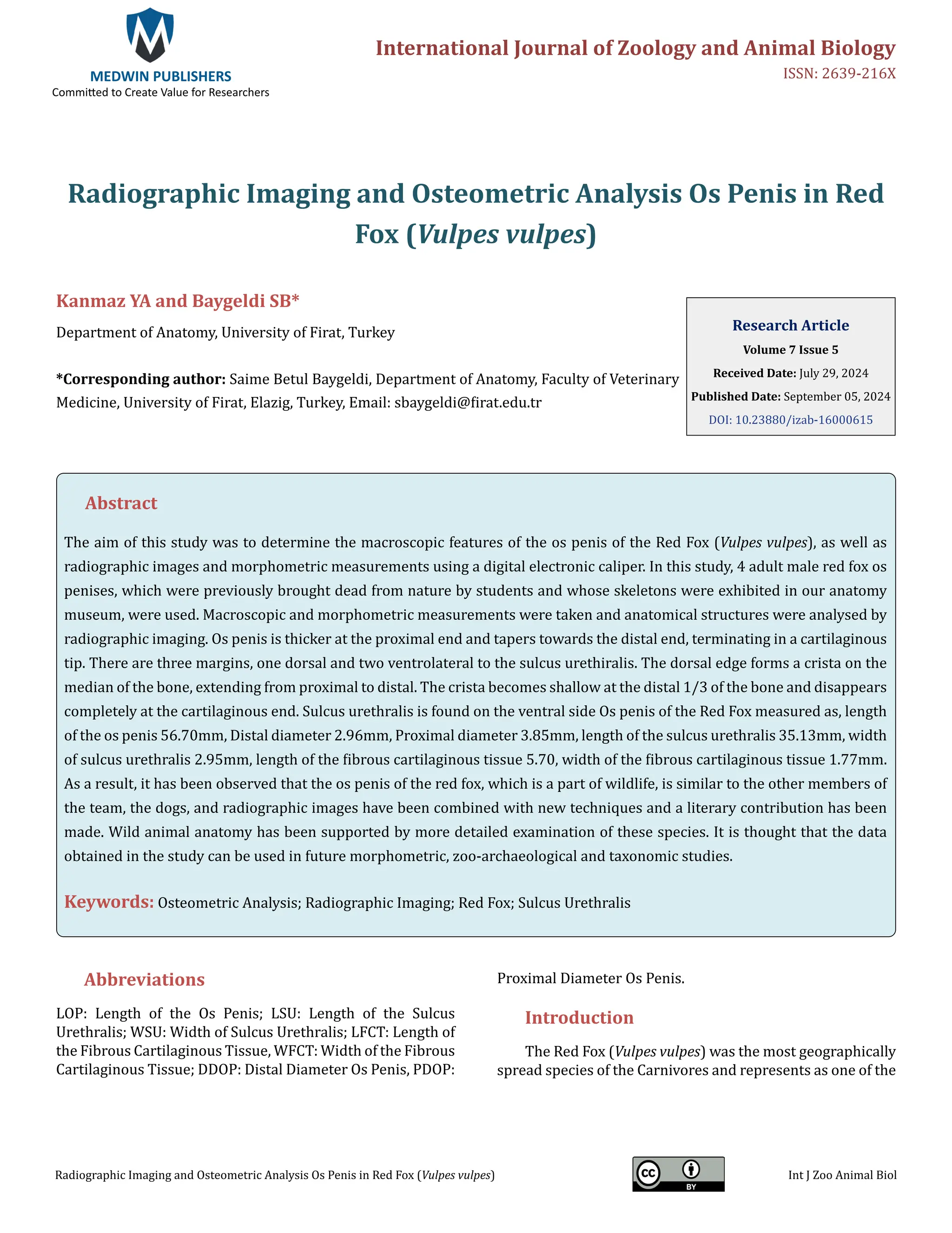 Radiographic Imaging and Osteometric Analysis Os Penis in Red Fox ...