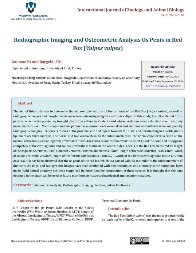 Radiographic Imaging and Osteometric Analysis Os Penis in Red Fox ...
