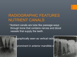 Nutrient Canal Radiograph