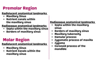 DENTAL RADIOGRAPHIC ANATOMICAL LANDMARKS .pdf
