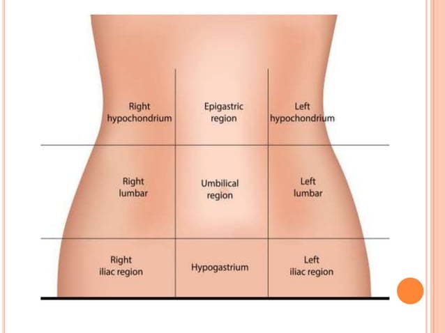 Radiographic Anatomy(chest abdomen and skeletal).pptx