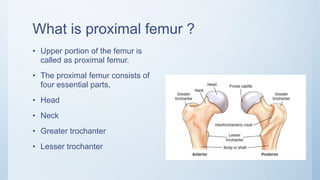 Radiographic anatomy of femur and pelvic girdle | PPTX