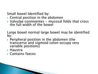 Radiographic anatomy of gastrointestinal tract | PPTX