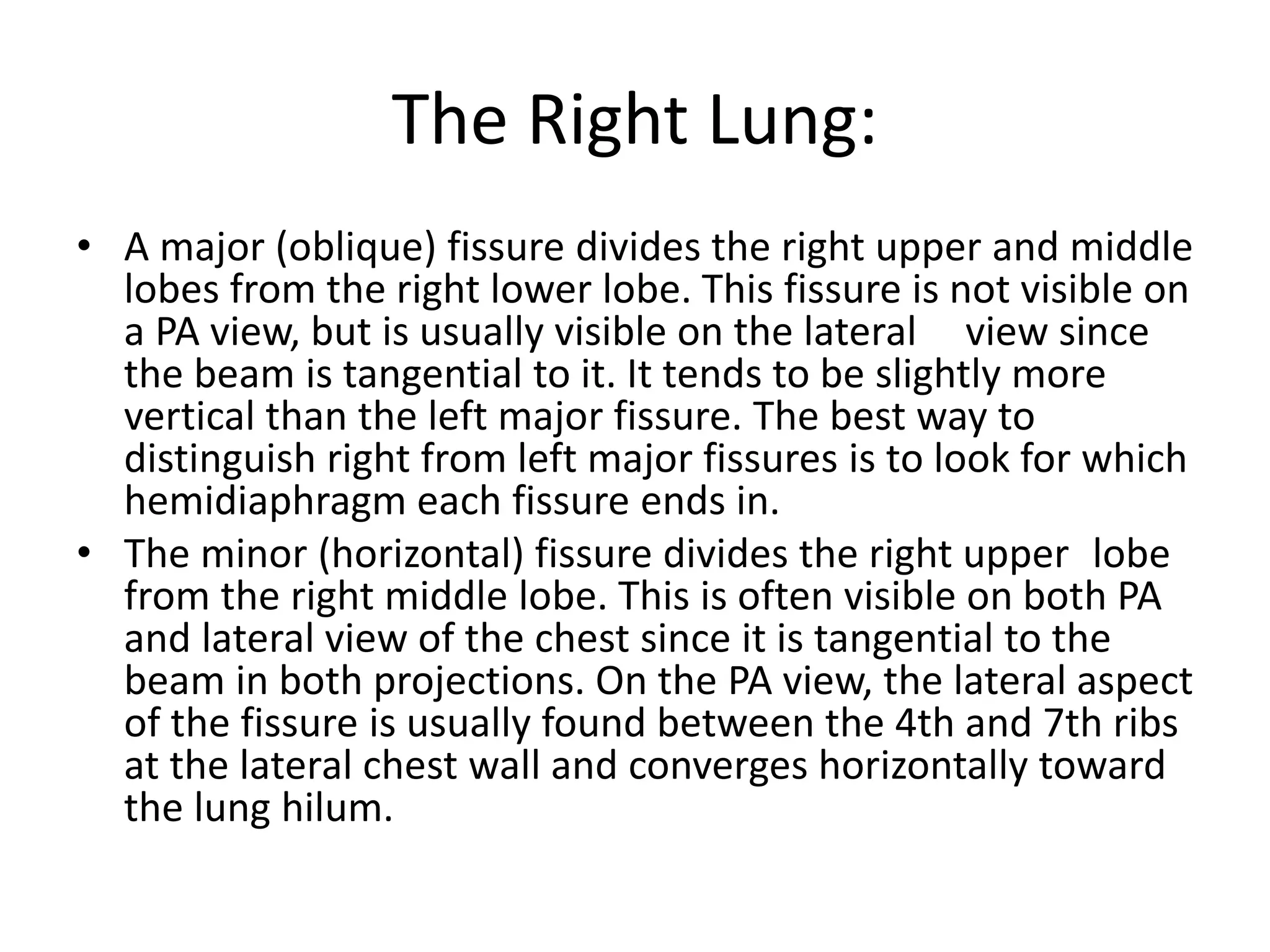 Radiographic anatomy of lungs.pptx