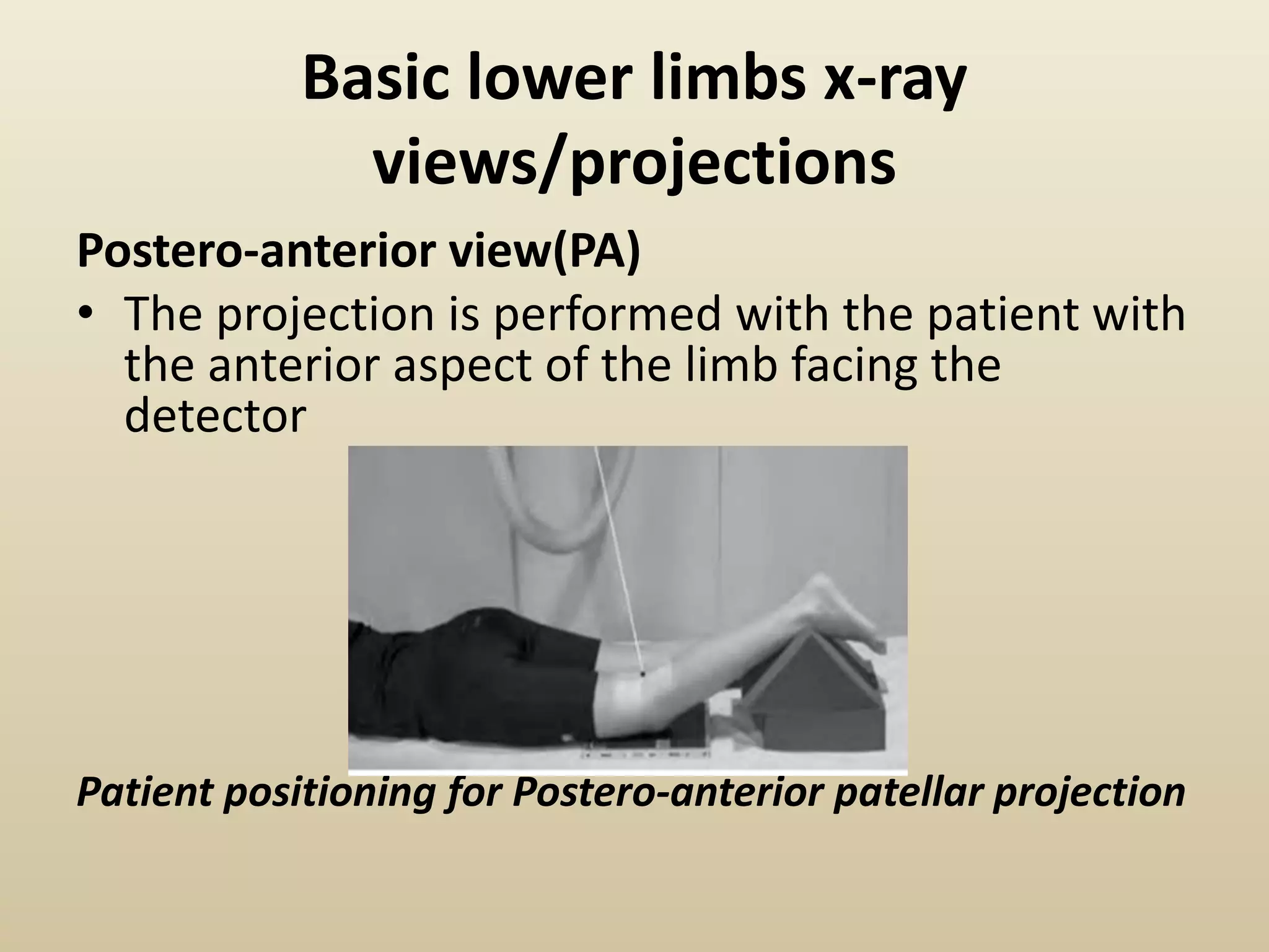 Radiographic Anatomy of the Lower Limbs.pptx