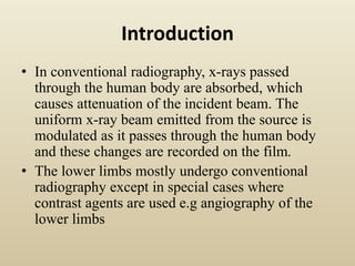 Radiographic Anatomy of the Lower Limbs.pptx