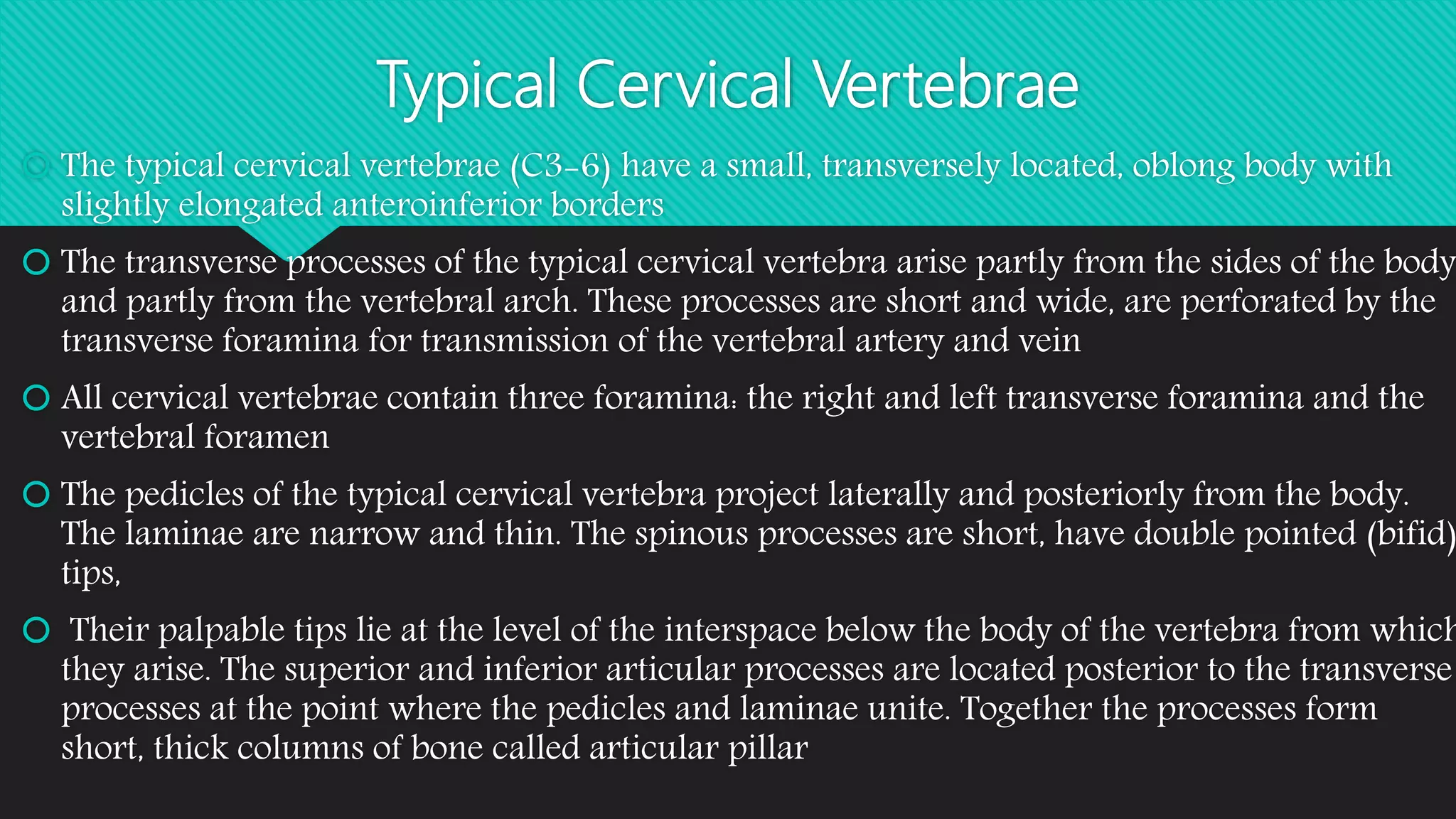 Radiographic anatomy of vertebral column | PPTX