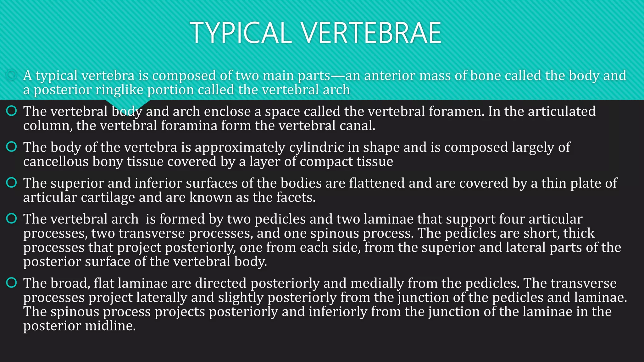 Radiographic anatomy of vertebral column | PPTX
