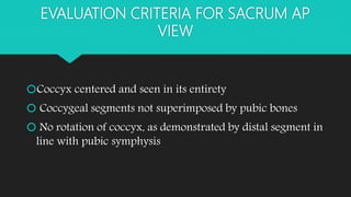 Radiographic anatomy of vertebral column | PPTX