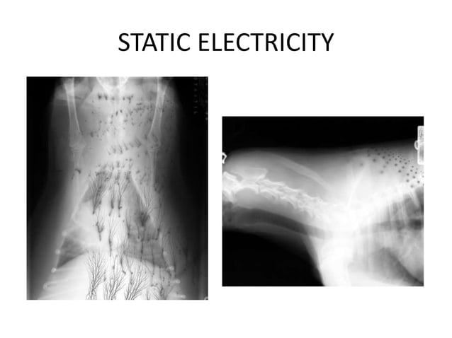 Radiographic Artifacts In Animals By Dr.Amandeep GADVASU | PPTX