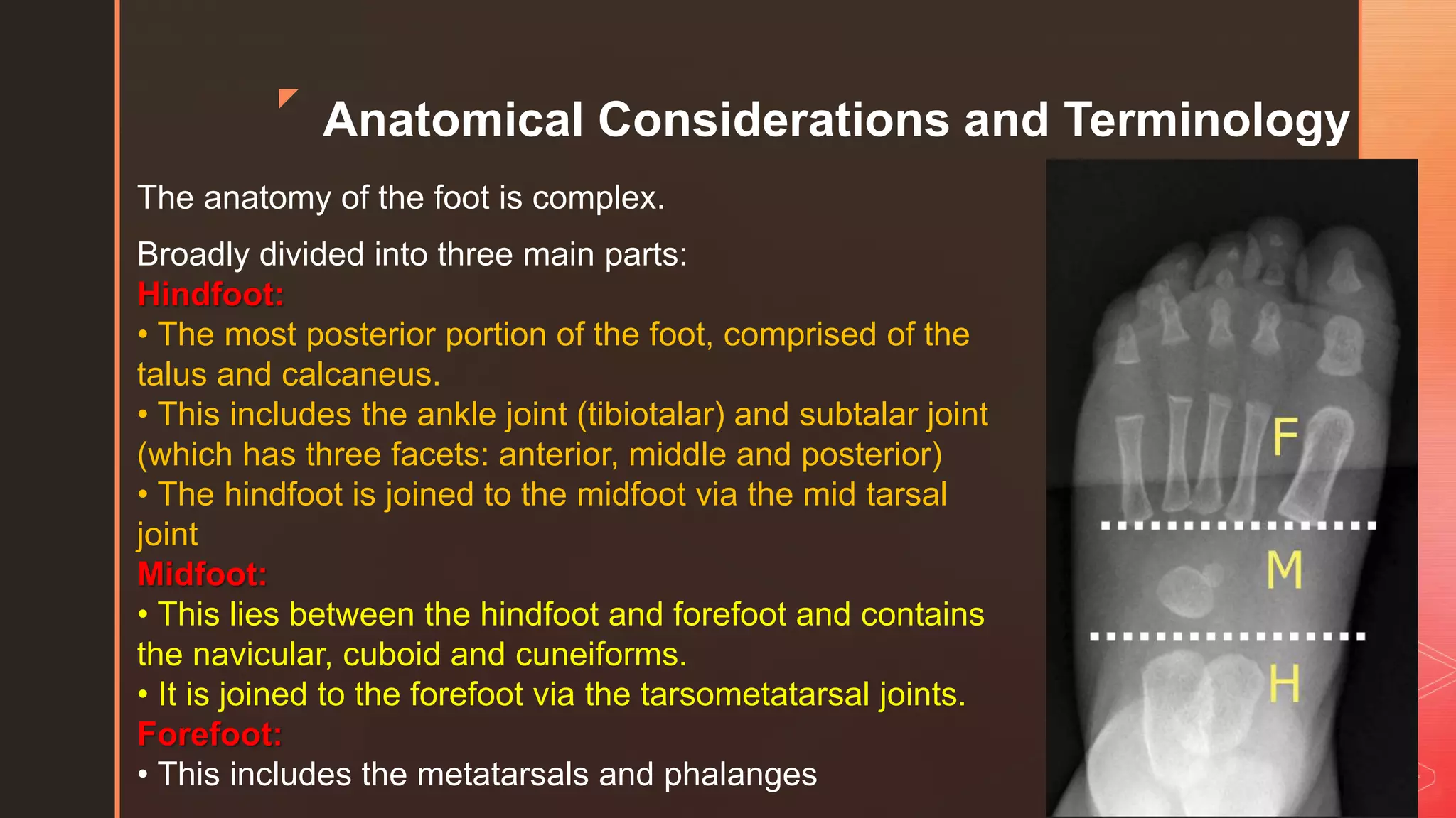 Radiographic assessment of pediatric foot alignment | PPTX