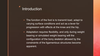 Radiographic assessment of pediatric foot alignment | PPTX