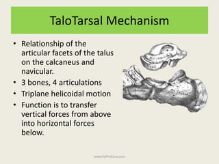 TaloTarsal Dislocation - Radiographic Evidence
