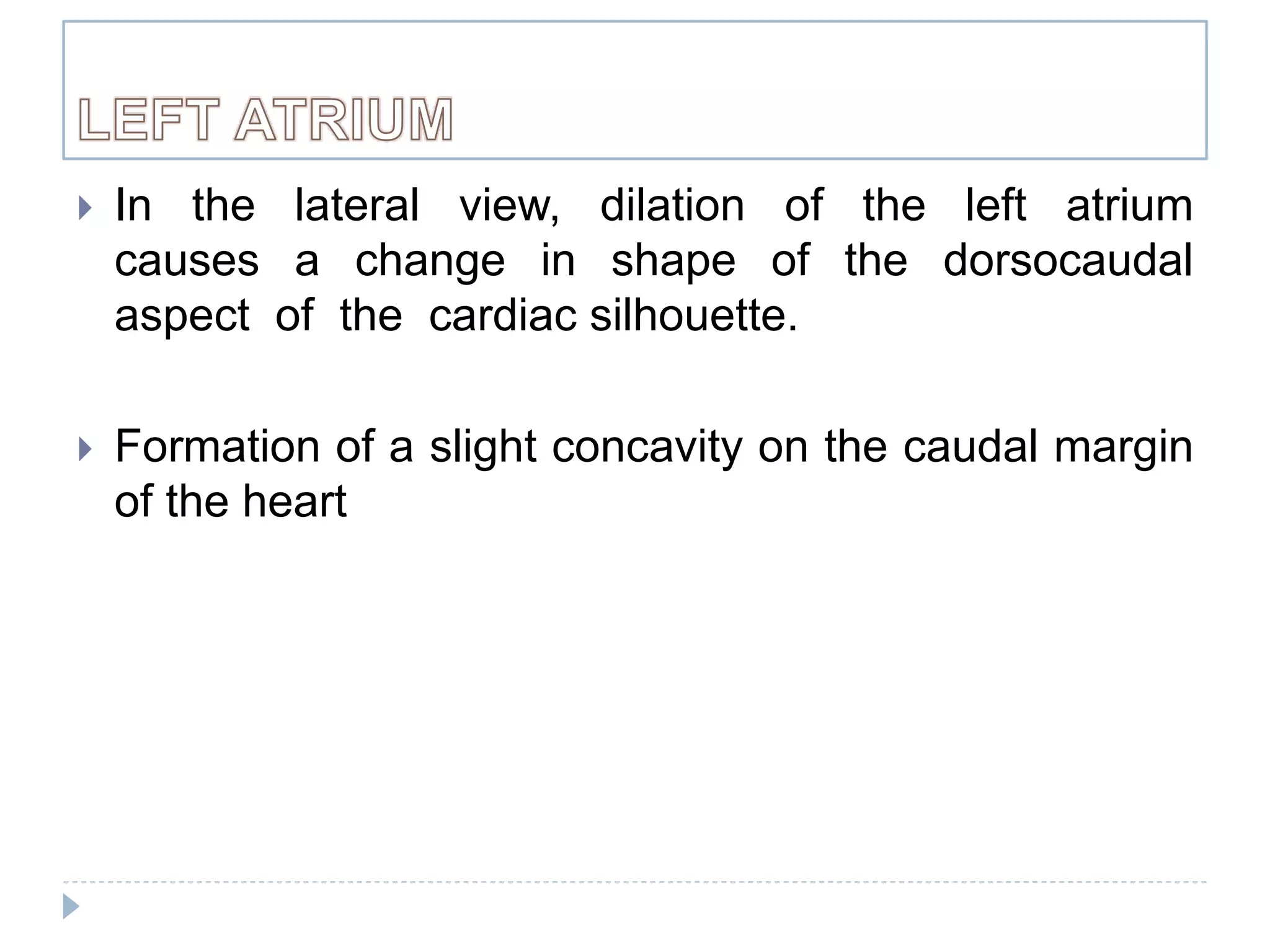 Radiographic Examination of Cardiovascular System | PPTX
