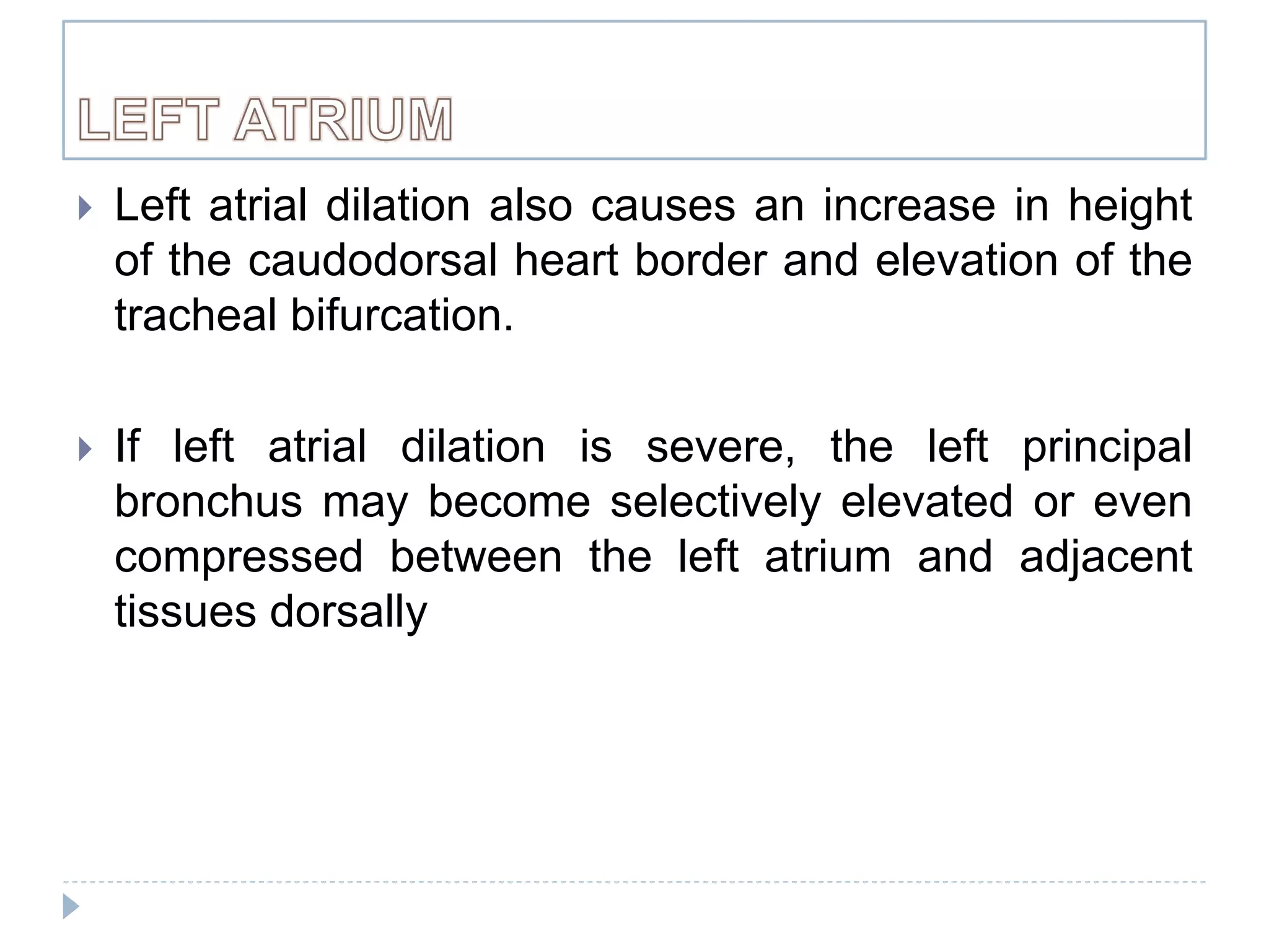 Radiographic Examination of Cardiovascular System | PPTX