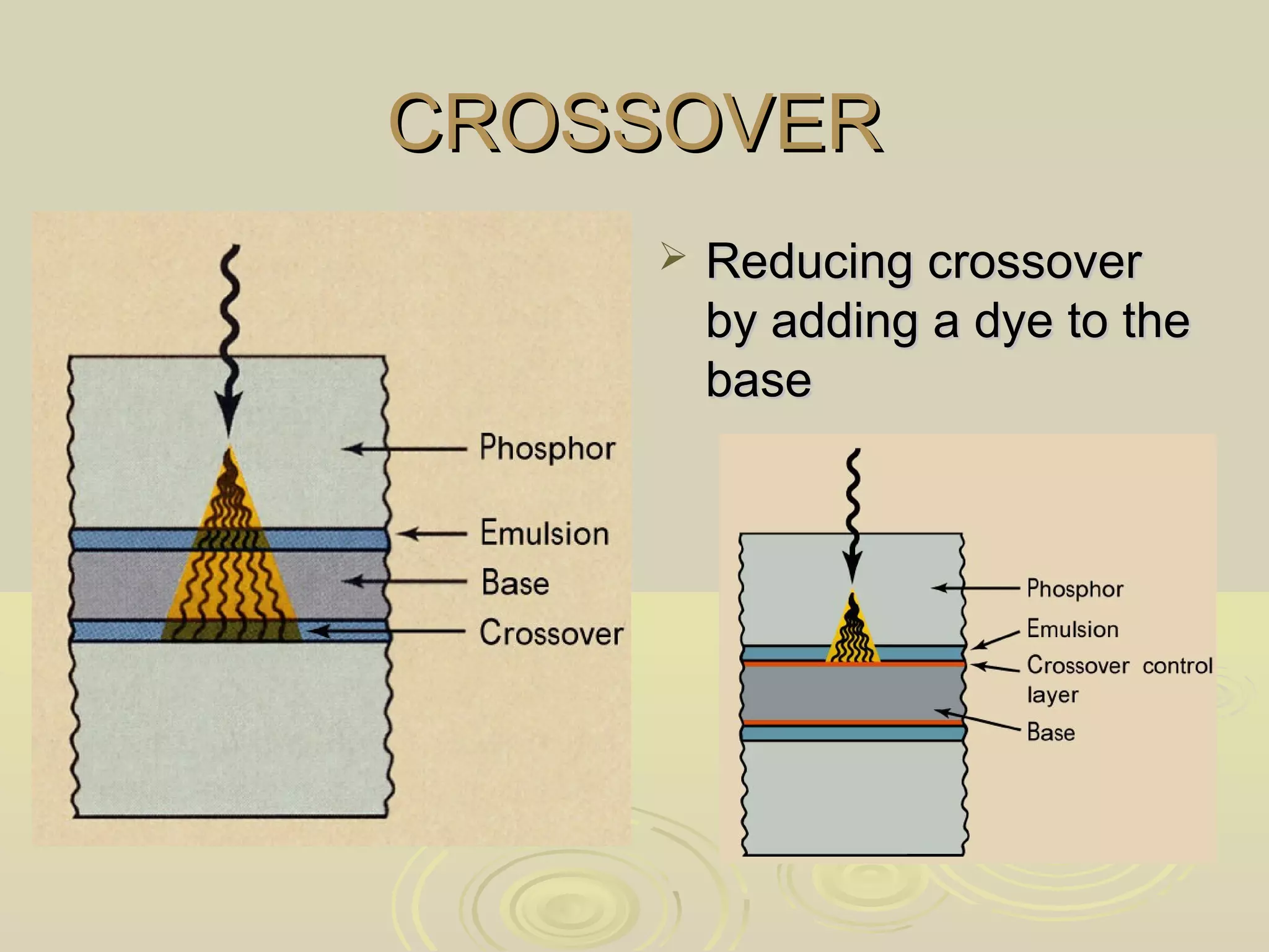 Radiographic film ; intensifying screens | PPT