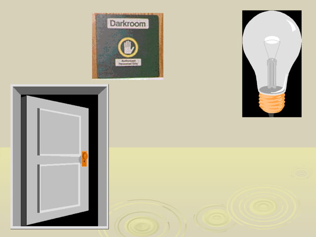 Radiographic film ; intensifying screens | PPT | Cameras and Camcorders ...