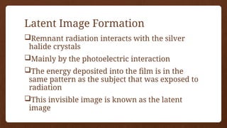 Conventional Radiographic Film and it's cross-sectional study sujan ...