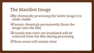 Conventional Radiographic Film and it's cross-sectional study sujan ...
