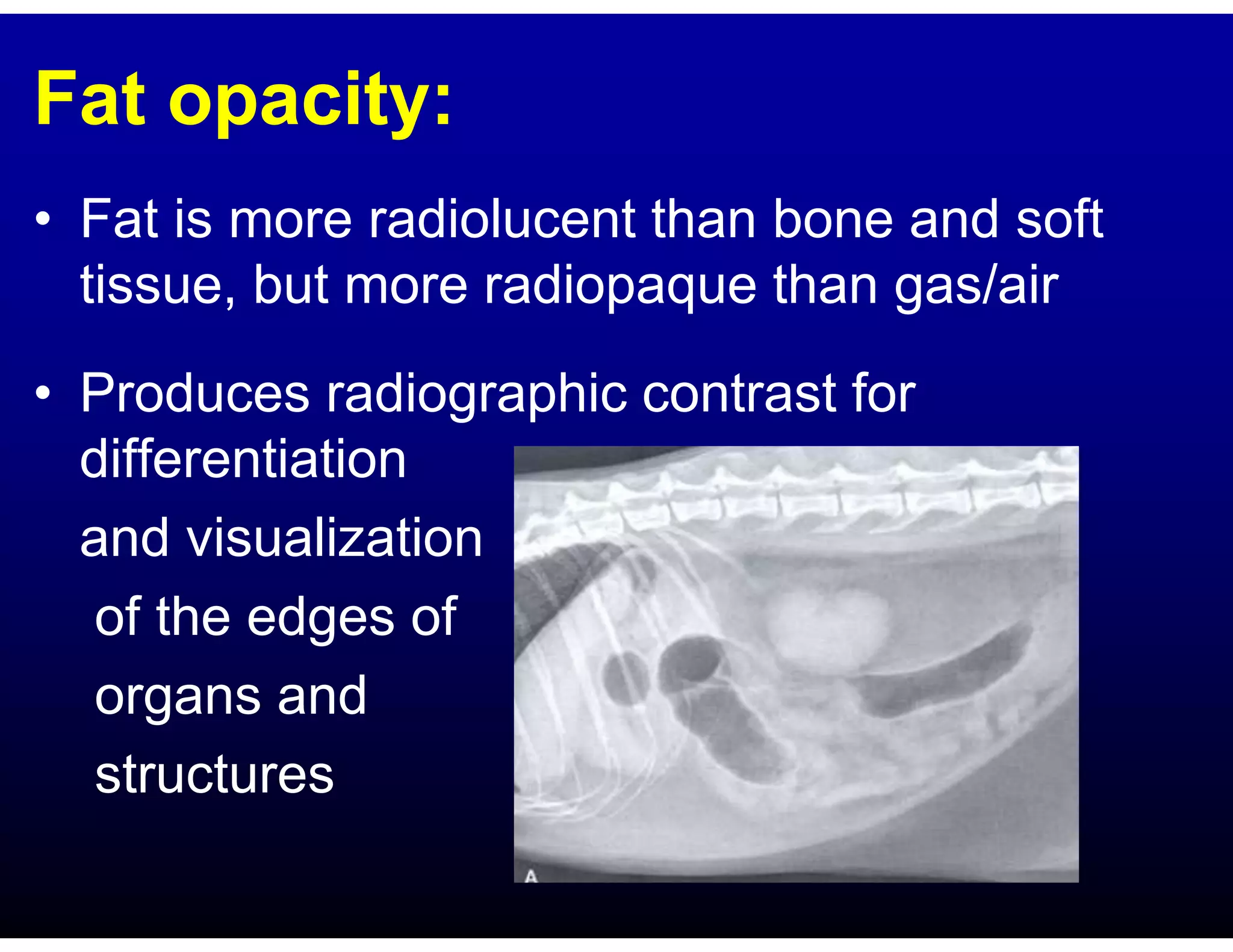Radiographic interpretation.pdf