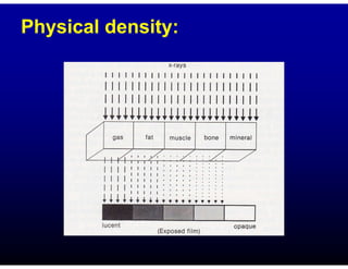 Radiographic interpretation.pdf | Medical Tests | Medical Health