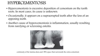 radiographic interpretations.pptx