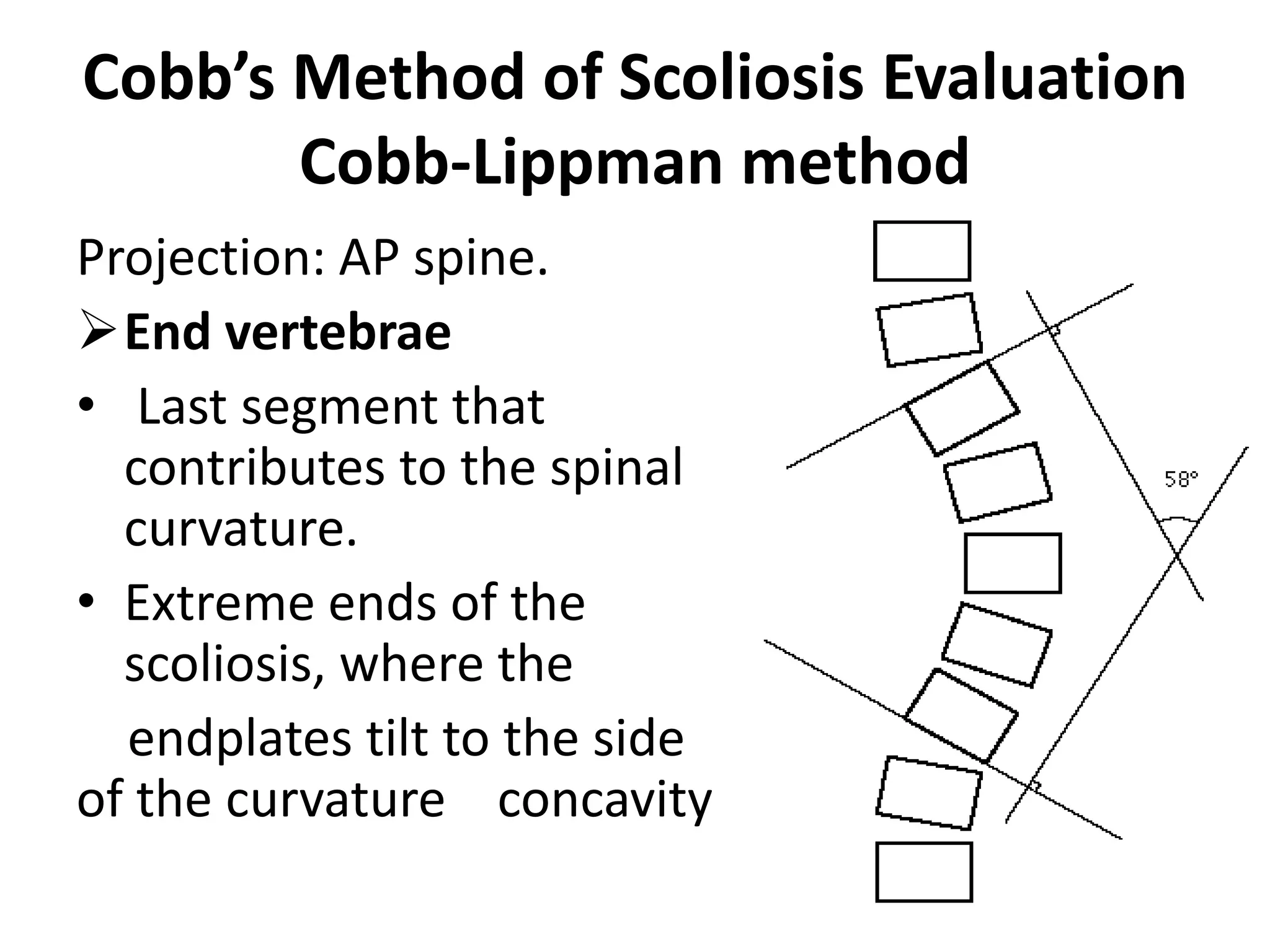 Radiographic lines and angles | PPTX