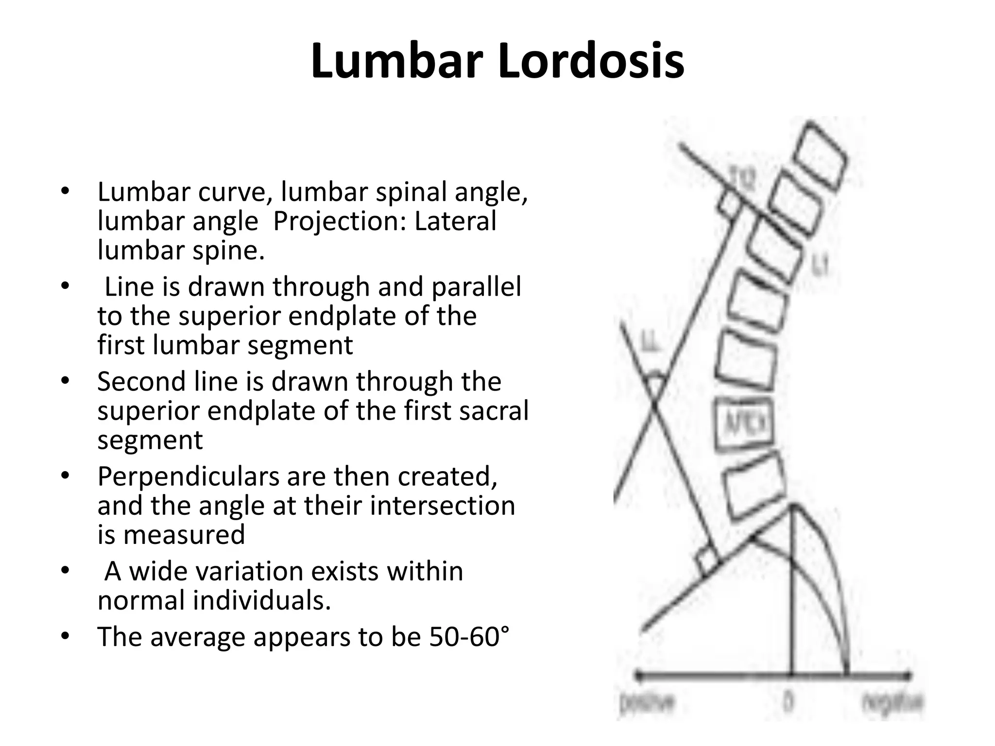 Radiographic lines and angles | PPTX