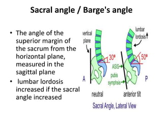 Radiographic lines and angles | PPTX