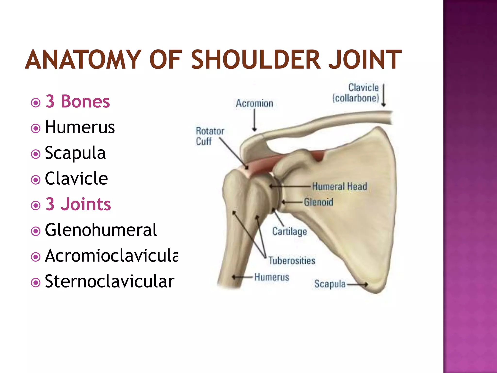 Radiographic positioning of humerus and shoulder | PPTX