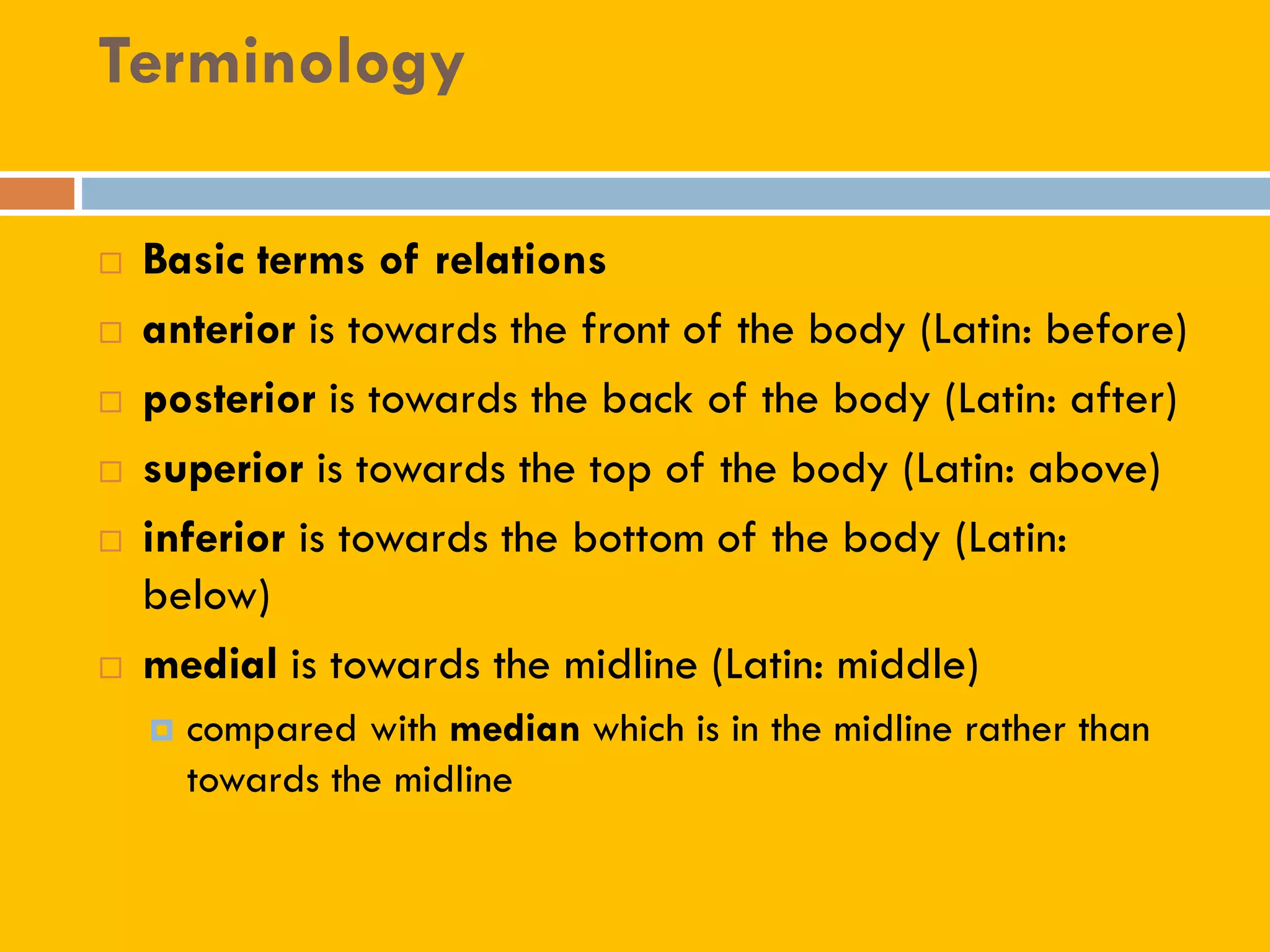 Radiographic positioning terminology By A.H Nelson Medical Physicist | PDF