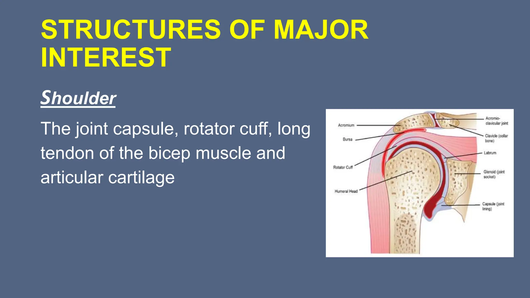 Radiographic procedure arthogram.....pptx