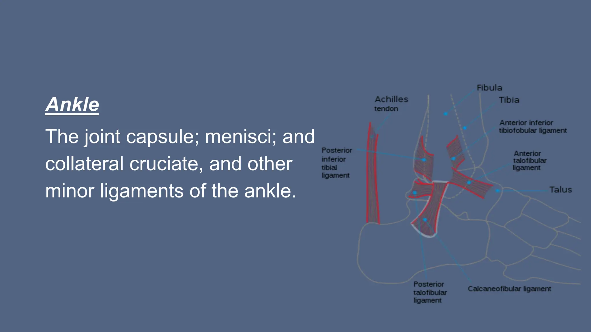 Radiographic procedure arthogram.....pptx