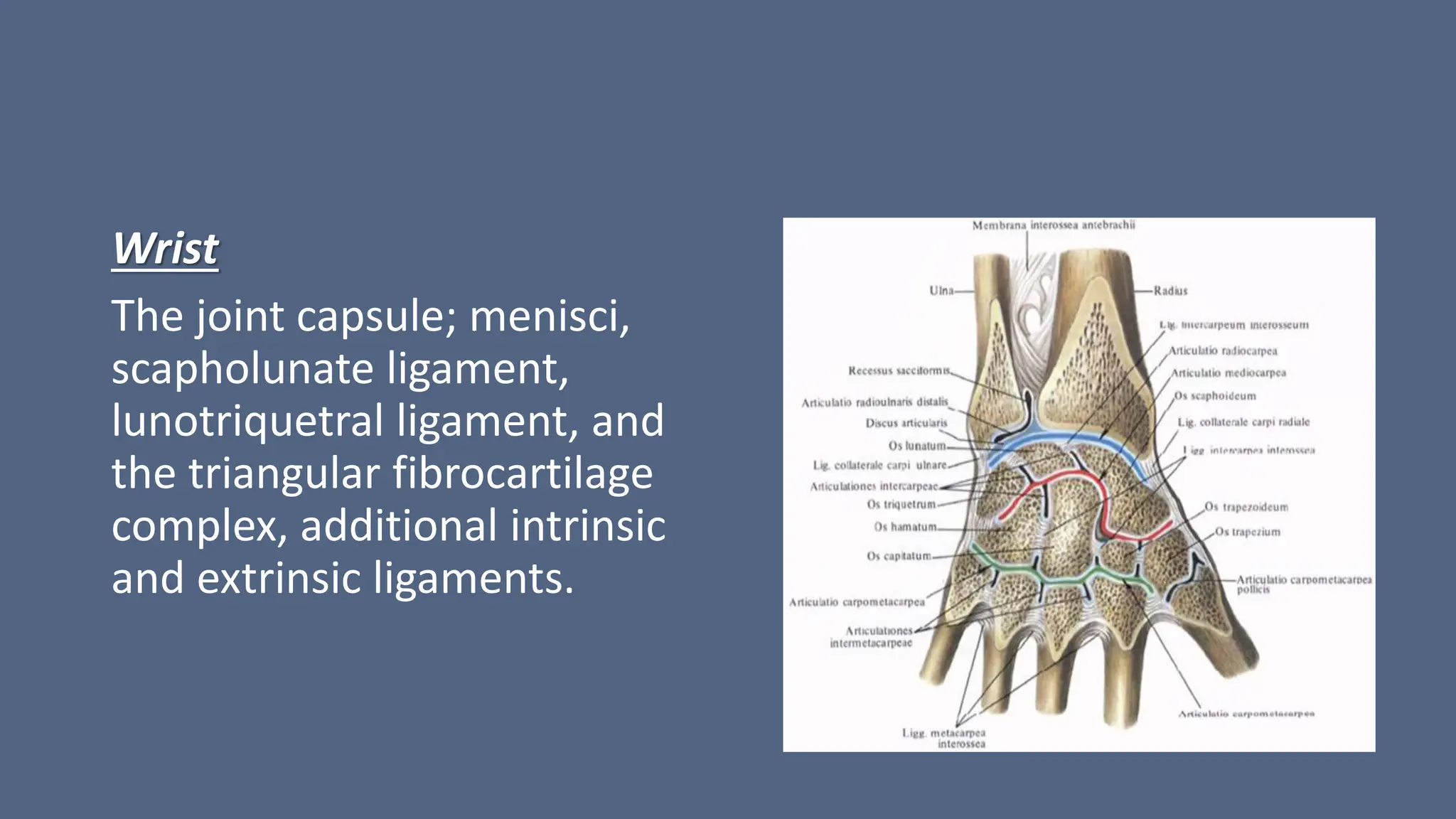 Radiographic procedure arthogram.....pptx