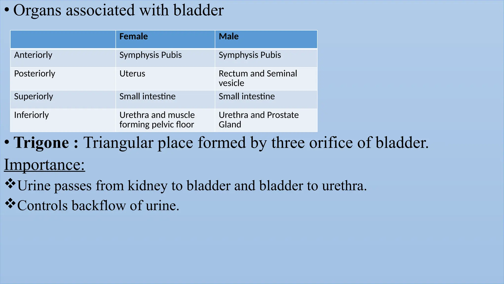 Radiographic Procedure (RGU & MCUG) - Saroj.pptx